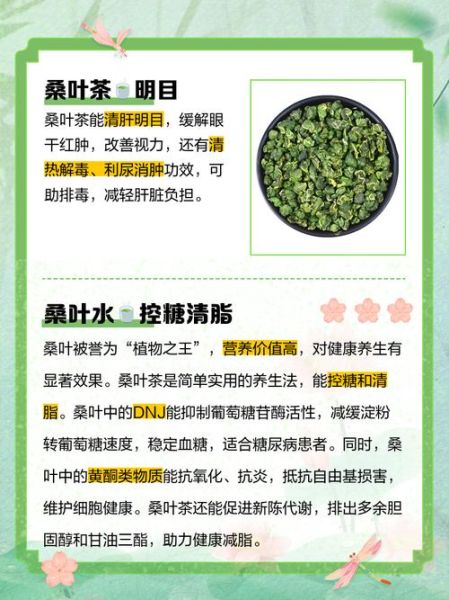 长期喝桑叶水的危害_桑叶水副作用有哪些-第1张图片-山城妙识 长期喝桑叶水的危害_桑叶水副作用有哪些-第1张图片-山城妙识