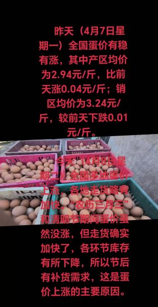 鸡蛋价格今日多少钱一斤_禽病网最新行情-第2张图片-山城妙识 鸡蛋价格今日多少钱一斤_禽病网最新行情-第2张图片-山城妙识