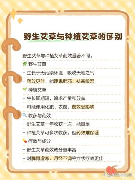 艾蒿过敏5级不能接触什么_日常禁忌清单-第1张图片-山城妙识 艾蒿过敏5级不能接触什么_日常禁忌清单-第1张图片-山城妙识