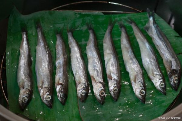 白条鱼和翘嘴鱼的区别_怎么区分白条和翘嘴-第2张图片-山城妙识 白条鱼和翘嘴鱼的区别_怎么区分白条和翘嘴-第2张图片-山城妙识