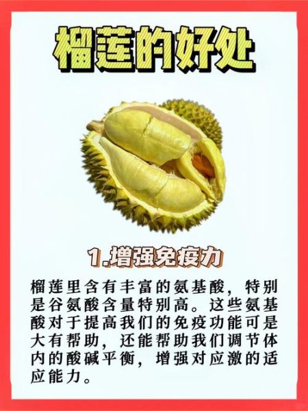 女人吃榴莲有什么好处_女人吃榴莲会发胖吗-第1张图片-山城妙识 女人吃榴莲有什么好处_女人吃榴莲会发胖吗-第1张图片-山城妙识