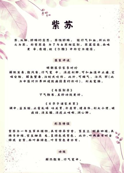 紫苏的功效与作用_紫苏怎么吃-第1张图片-山城妙识 紫苏的功效与作用_紫苏怎么吃-第1张图片-山城妙识