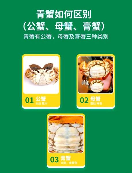 黄油蟹和青蟹的区别_黄油蟹和青蟹哪个好吃-第1张图片-山城妙识 黄油蟹和青蟹的区别_黄油蟹和青蟹哪个好吃-第1张图片-山城妙识