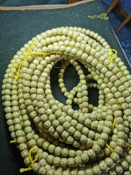 鸡油黄星月菩提怎么盘_鸡油黄星月菩提价格多少钱-第3张图片-山城妙识 鸡油黄星月菩提怎么盘_鸡油黄星月菩提价格多少钱-第3张图片-山城妙识