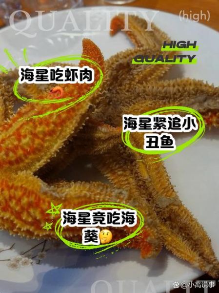 海星一人一次能吃多少_海星一次吃多少合适-第3张图片-山城妙识 海星一人一次能吃多少_海星一次吃多少合适-第3张图片-山城妙识