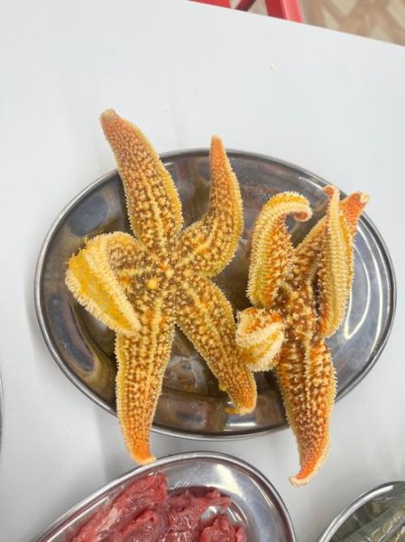 海星一人一次能吃多少_海星一次吃多少合适-第1张图片-山城妙识 海星一人一次能吃多少_海星一次吃多少合适-第1张图片-山城妙识