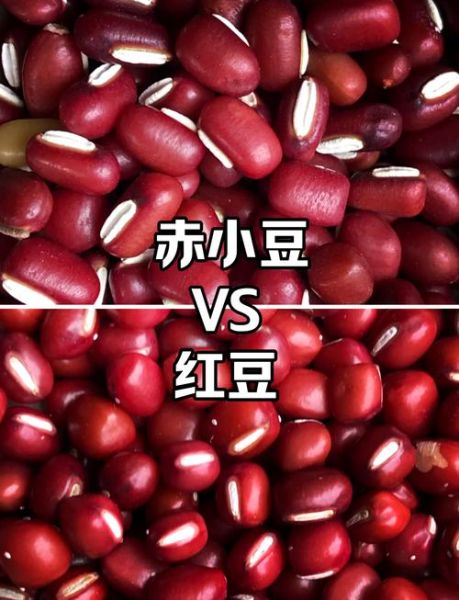 赤豆是红豆吗_赤小豆和红豆区别-第2张图片-山城妙识 赤豆是红豆吗_赤小豆和红豆区别-第2张图片-山城妙识