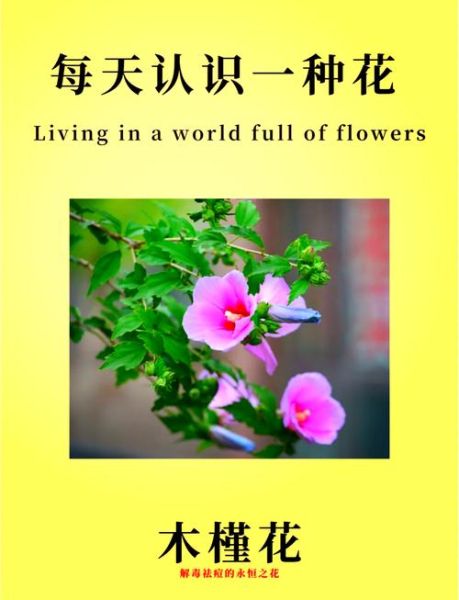 木槿花图片大全_木槿花的花语是什么-第1张图片-山城妙识 木槿花图片大全_木槿花的花语是什么-第1张图片-山城妙识