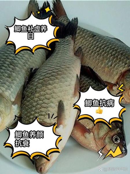 鲫鱼的功效与作用禁忌_什么人不能吃鲫鱼-第2张图片-山城妙识 鲫鱼的功效与作用禁忌_什么人不能吃鲫鱼-第2张图片-山城妙识