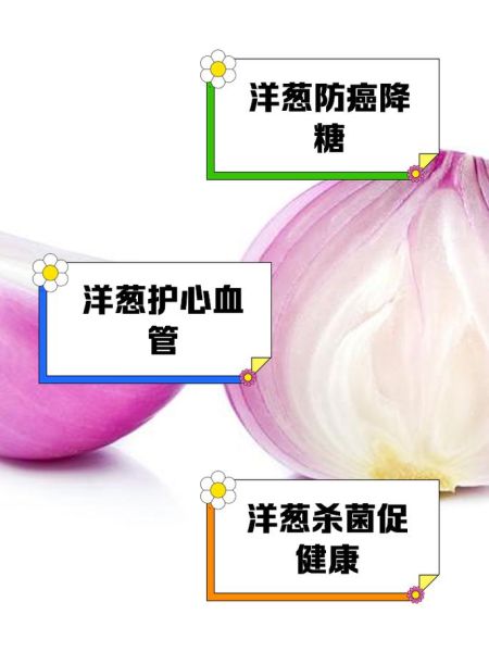 洋葱的功效与作用禁忌_洋葱怎么吃最好-第1张图片-山城妙识 洋葱的功效与作用禁忌_洋葱怎么吃最好-第1张图片-山城妙识