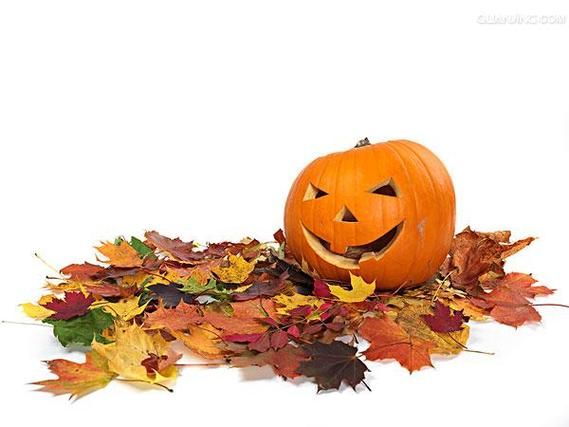 南瓜灯英语怎么读_Jack-o'-lantern发音详解-第3张图片-山城妙识 南瓜灯英语怎么读_Jack-o'-lantern发音详解-第3张图片-山城妙识