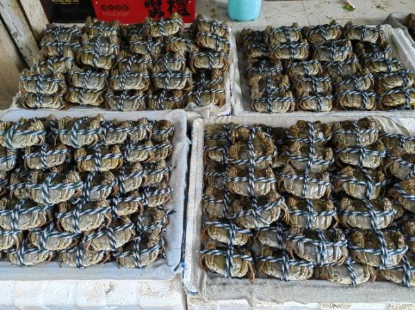 中国大闸蟹产地排名_哪里的大闸蟹最正宗-第1张图片-山城妙识 中国大闸蟹产地排名_哪里的大闸蟹最正宗-第1张图片-山城妙识