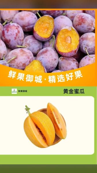 西梅图片多少钱一斤_西梅价格2024最新行情-第1张图片-山城妙识 西梅图片多少钱一斤_西梅价格2024最新行情-第1张图片-山城妙识