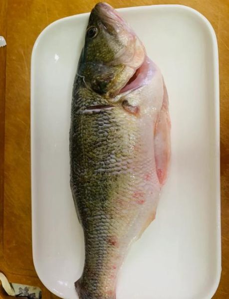 鲈鱼清蒸需要几分钟_鲈鱼清蒸多久最嫩-第1张图片-山城妙识 鲈鱼清蒸需要几分钟_鲈鱼清蒸多久最嫩-第1张图片-山城妙识