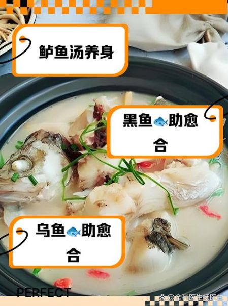 鱼汤手术后伤口愈合快_术后喝什么鱼汤恢复快-第2张图片-山城妙识 鱼汤手术后伤口愈合快_术后喝什么鱼汤恢复快-第2张图片-山城妙识