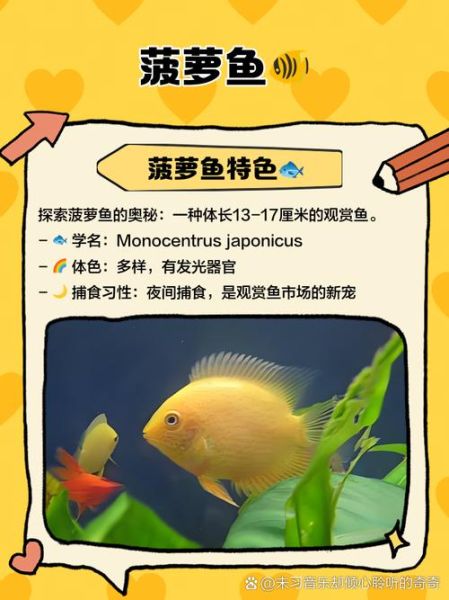 菠萝鱼品种大全_菠萝鱼怎么区分-第2张图片-山城妙识 菠萝鱼品种大全_菠萝鱼怎么区分-第2张图片-山城妙识