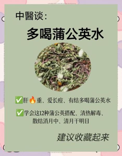 蒲公英泡水喝的害处_长期喝有什么副作用-第3张图片-山城妙识 蒲公英泡水喝的害处_长期喝有什么副作用-第3张图片-山城妙识