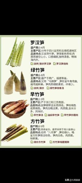 竹笋种类图片及名称_如何区分常见竹笋-第3张图片-山城妙识