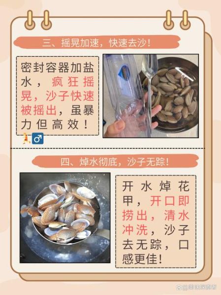 花蚬子怎么吐沙子_花蚬子吐沙子最快的方法-第2张图片-山城妙识 花蚬子怎么吐沙子_花蚬子吐沙子最快的方法-第2张图片-山城妙识