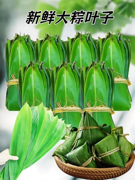 粽叶有哪几种_粽叶图片大全-第2张图片-山城妙识 粽叶有哪几种_粽叶图片大全-第2张图片-山城妙识