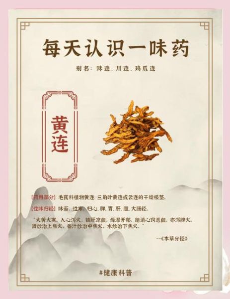 鸡子黄汤怎么做_鸡子黄汤的功效与作用-第3张图片-山城妙识