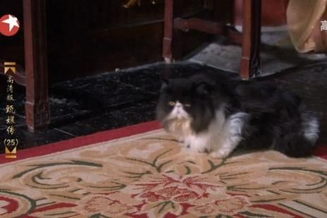 松子_deluxe_是谁_松子_deluxe_为什么红-第1张图片-山城妙识 松子_deluxe_是谁_松子_deluxe_为什么红-第1张图片-山城妙识