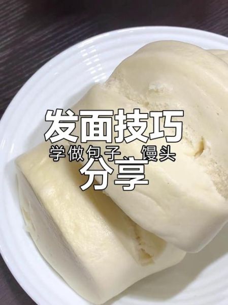 蒸包子发面技巧_蒸包子面怎么发才松软-第2张图片-山城妙识 蒸包子发面技巧_蒸包子面怎么发才松软-第2张图片-山城妙识