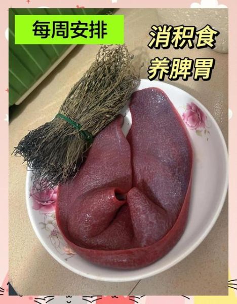 猪脾的功效与作用_猪脾怎么做好吃-第1张图片-山城妙识 猪脾的功效与作用_猪脾怎么做好吃-第1张图片-山城妙识