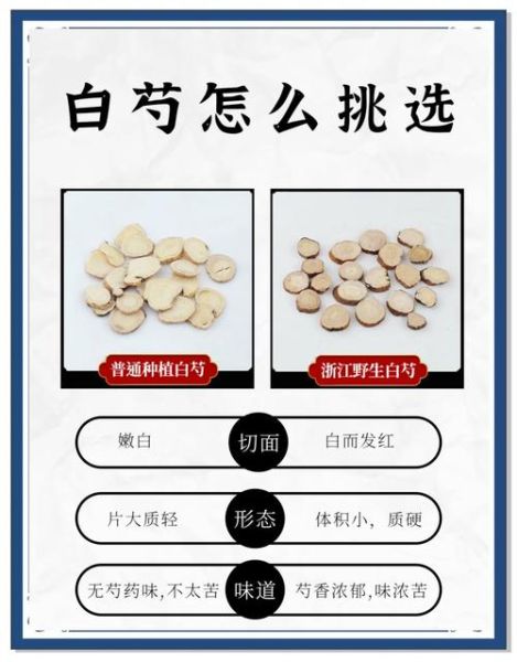 白芍药材图片_如何鉴别真假白芍-第1张图片-山城妙识 白芍药材图片_如何鉴别真假白芍-第1张图片-山城妙识