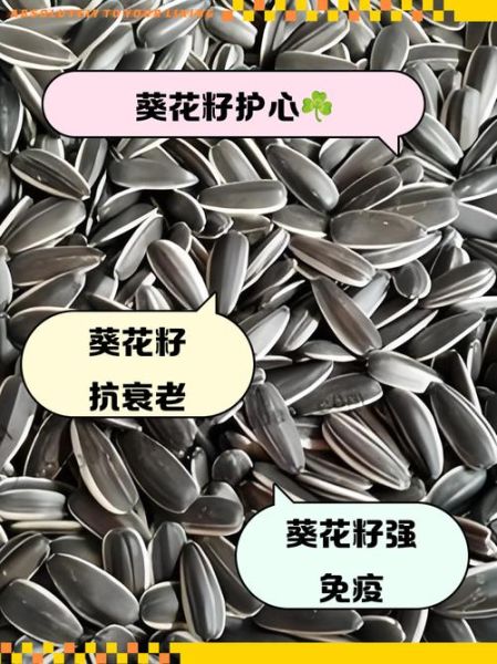 生葵花籽的功效与作用_生葵花籽每天吃多少合适-第1张图片-山城妙识 生葵花籽的功效与作用_生葵花籽每天吃多少合适-第1张图片-山城妙识