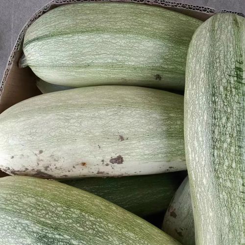 吃馅的大白瓜叫什么_东北角瓜盒子做法-第1张图片-山城妙识