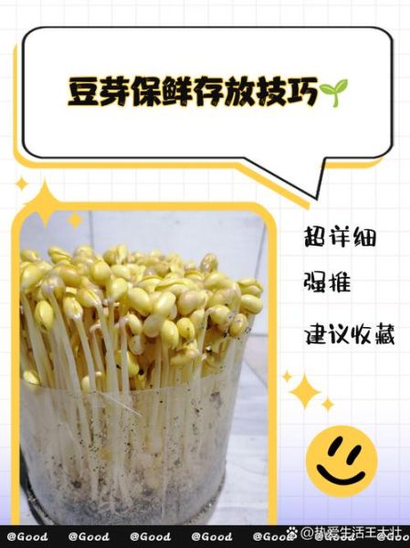 黄豆芽怎么保存不变绿_黄豆芽放冰箱不绿的方法-第1张图片-山城妙识 黄豆芽怎么保存不变绿_黄豆芽放冰箱不绿的方法-第1张图片-山城妙识