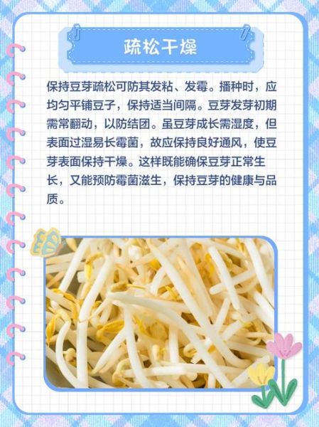 黄豆芽怎么保存不变绿_黄豆芽放冰箱不绿的方法-第3张图片-山城妙识 黄豆芽怎么保存不变绿_黄豆芽放冰箱不绿的方法-第3张图片-山城妙识