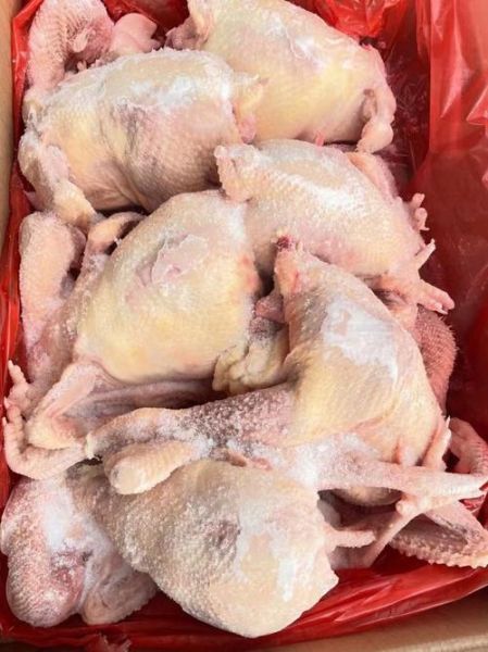 白条鸡多少钱一斤_白条鸡价格今日价-第3张图片-山城妙识