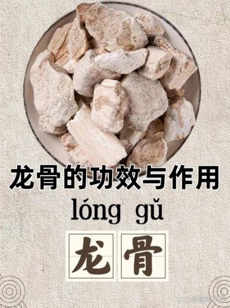 龙骨是什么中药_龙骨的功效与作用-第3张图片-山城妙识 龙骨是什么中药_龙骨的功效与作用-第3张图片-山城妙识
