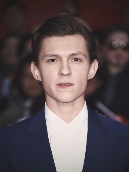 荷兰弟真名是什么_荷兰弟为什么叫荷兰弟-第2张图片-山城妙识 荷兰弟真名是什么_荷兰弟为什么叫荷兰弟-第2张图片-山城妙识