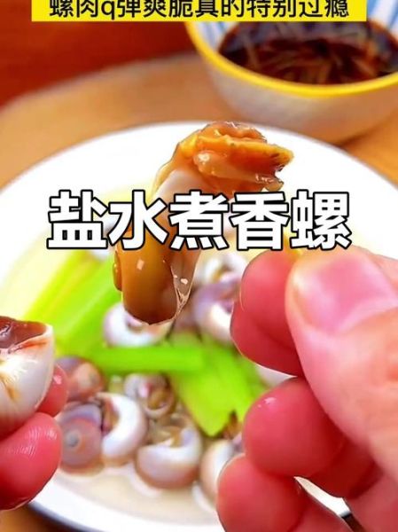 香螺蒸多久最佳时间_香螺蒸多久才熟-第2张图片-山城妙识