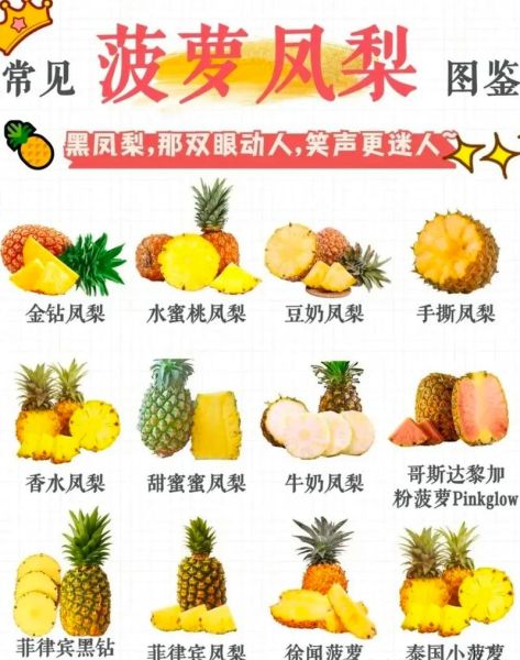 台湾凤梨和菠萝的区别_哪个更好吃-第1张图片-山城妙识