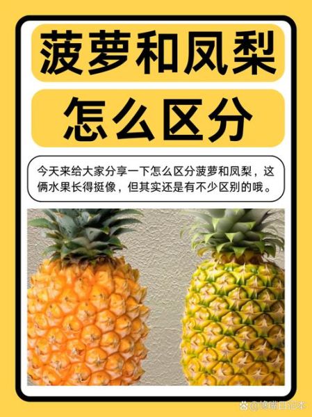台湾凤梨和菠萝的区别_哪个更好吃-第3张图片-山城妙识