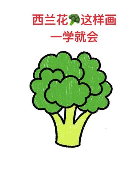 西兰花简笔画怎么画_西兰花涂色教程-第1张图片-山城妙识