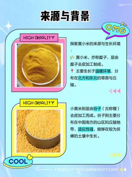 黄小米和小米的区别_哪个更营养-第1张图片-山城妙识