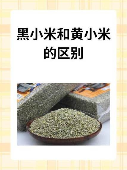 黄小米和小米的区别_哪个更营养-第3张图片-山城妙识