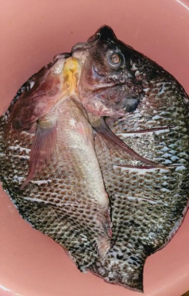 腊鱼干怎么腌制_腊鱼干晒多久才能吃-第3张图片-山城妙识