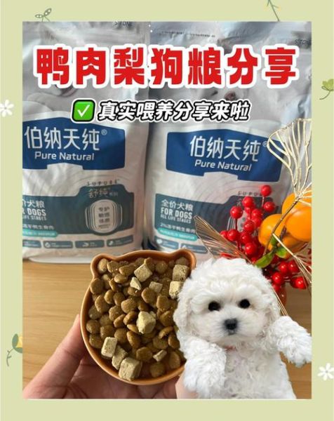 鸭肉梨是什么_鸭肉梨对狗狗好吗-第3张图片-山城妙识 鸭肉梨是什么_鸭肉梨对狗狗好吗-第3张图片-山城妙识