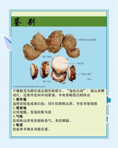 红沙姜的功效与作用_红沙姜怎么吃效果最好-第3张图片-山城妙识