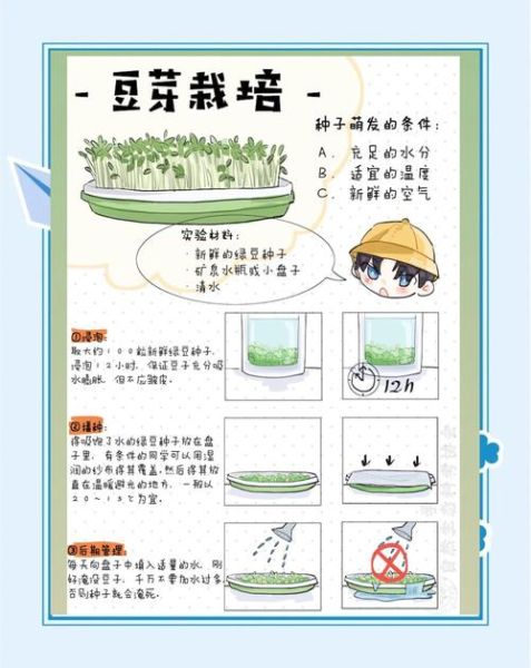 在家发豆芽的详细步骤_发豆芽失败的原因-第1张图片-山城妙识 在家发豆芽的详细步骤_发豆芽失败的原因-第1张图片-山城妙识