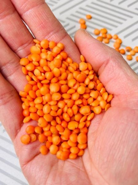 红扁豆长什么样子_红扁豆图片特征-第1张图片-山城妙识