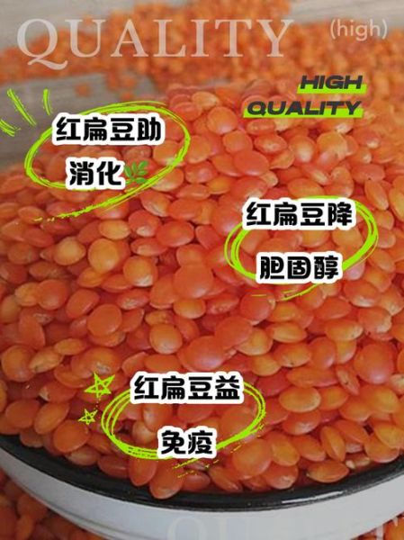 红扁豆长什么样子_红扁豆图片特征-第3张图片-山城妙识