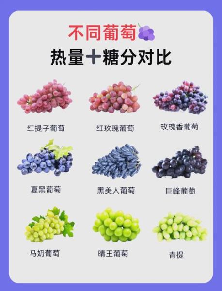 葡萄酒冰糖比例是多少_自制葡萄酒加多少糖-第2张图片-山城妙识 葡萄酒冰糖比例是多少_自制葡萄酒加多少糖-第2张图片-山城妙识