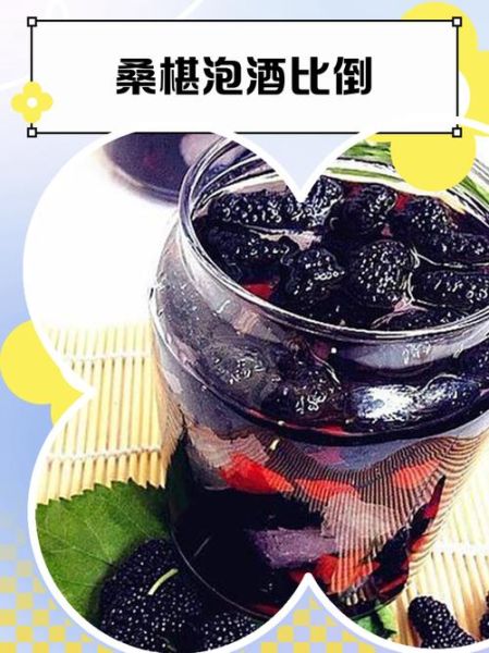 桑葚泡酒用什么酒最好_桑葚泡酒比例是多少-第1张图片-山城妙识 桑葚泡酒用什么酒最好_桑葚泡酒比例是多少-第1张图片-山城妙识